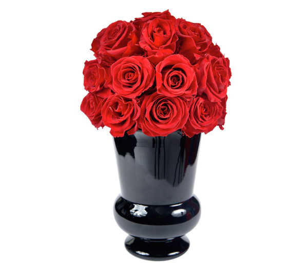 Classic Red | Royal Roses